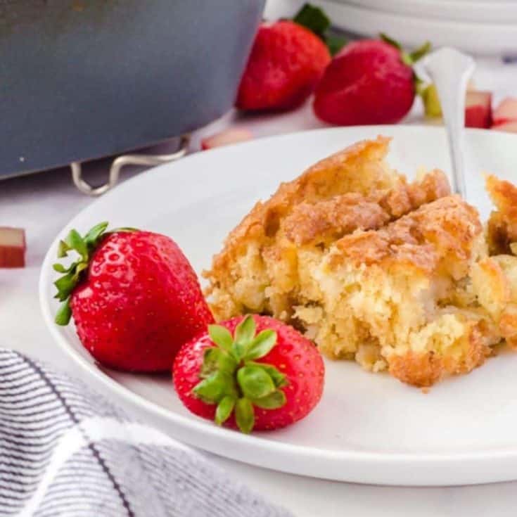 Easy Old Fashioned Rhubarb Cake Recipe - Harbour Breeze Home